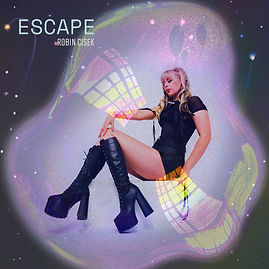 Musician | Robin Cisek Music